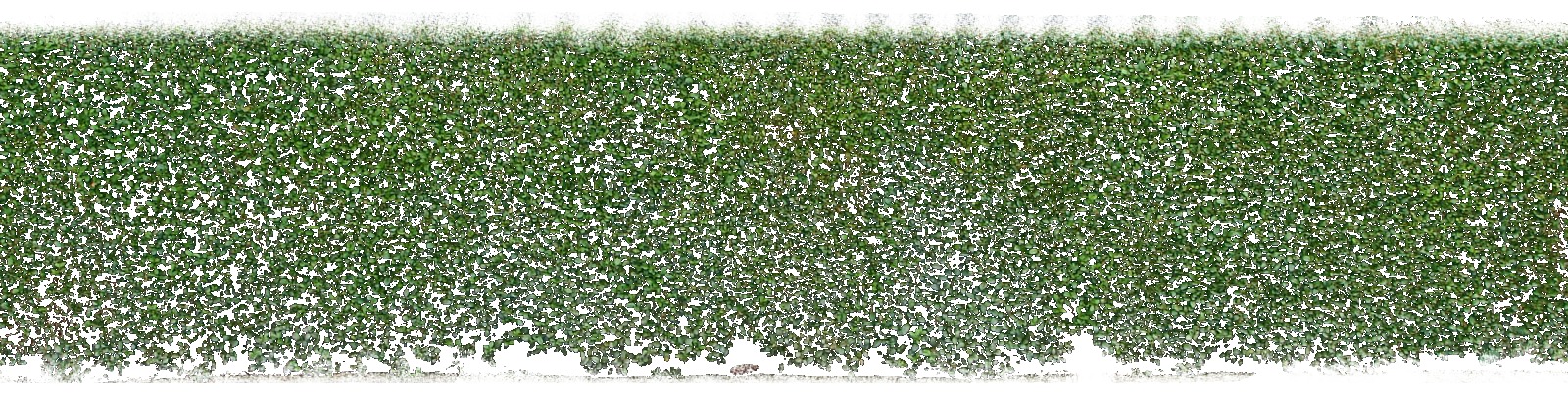 Background Hedges Hd PNG Transparent Background, Free Download #32450 ...