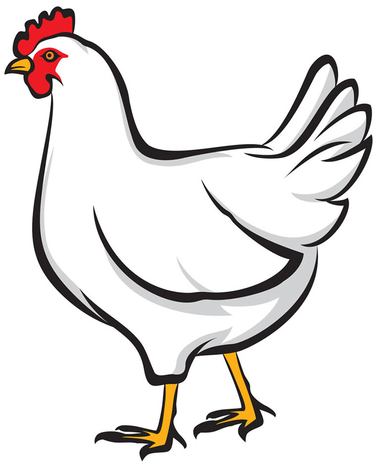 Hen Vector Png