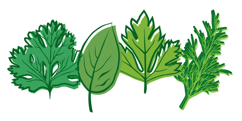 Herbs Icon, Transparent Herbs.PNG Images & Vector - FreeIconsPNG