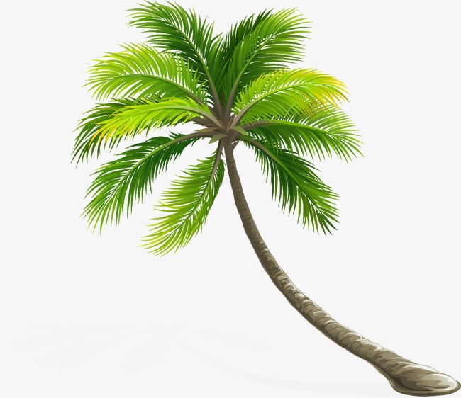 High Resolution Coconut Tree Pattern PNG Transparent Background, Free ...
