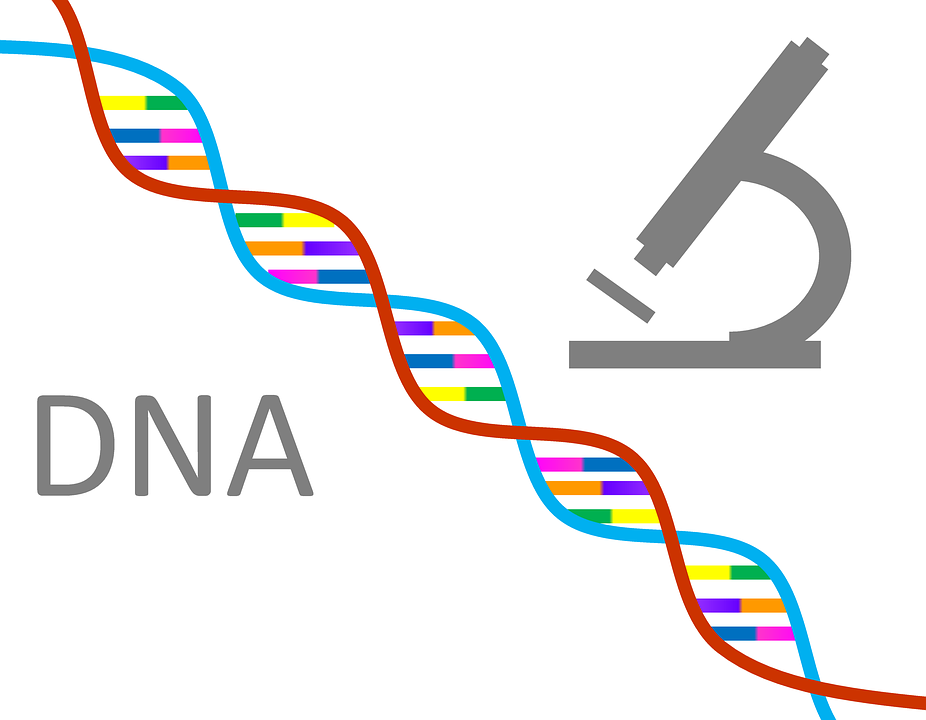 Laboratory Dna Photos PNG Transparent Background, Free Download #47654 ...