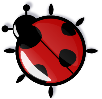 Ladybug Icon, Transparent Ladybug.PNG Images & Vector - FreeIconsPNG