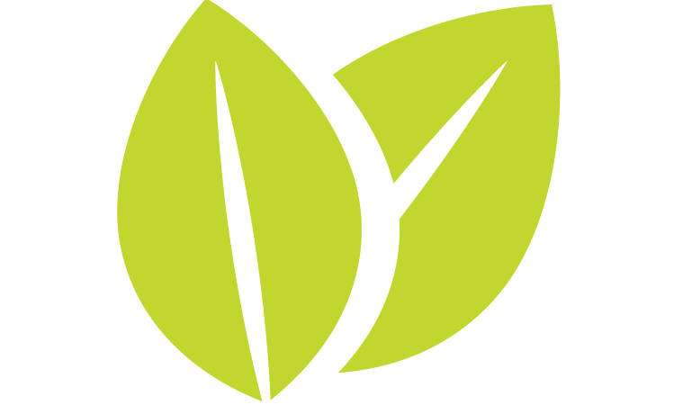 Leaf Icon, Transparent Leaf.PNG Images & Vector - FreeIconsPNG