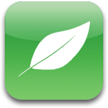 Icon Leaf PNG Transparent Background, Free Download #7069 - FreeIconsPNG