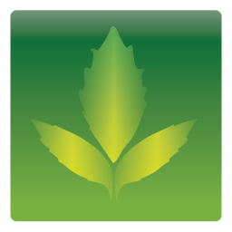 Leave Icon, Transparent Leave.PNG Images & Vector - FreeIconsPNG