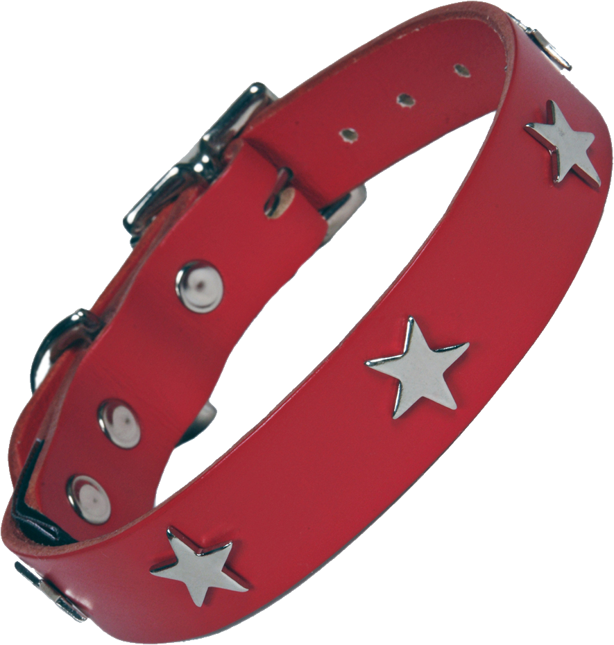 Metal Star And A Red Dog Collar Photos PNG Transparent Background, Free ...