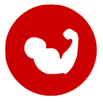 Muscle Icon PNG Transparent Background, Free Download #5234 - FreeIconsPNG