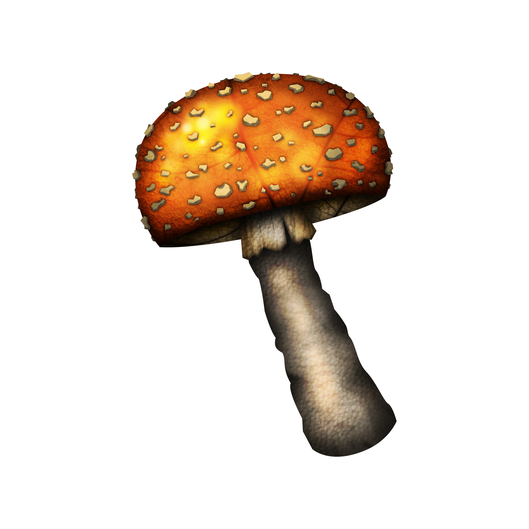 Mushroom Transparent PNG Pictures - Free Icons and PNG Backgrounds