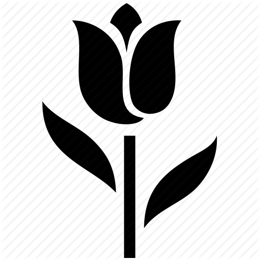 Rose Icon, Transparent Rose.PNG Images & Vector - FreeIconsPNG