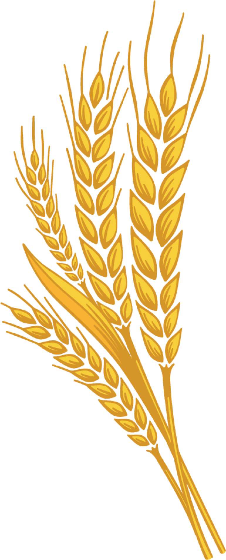 Wheat Leaves