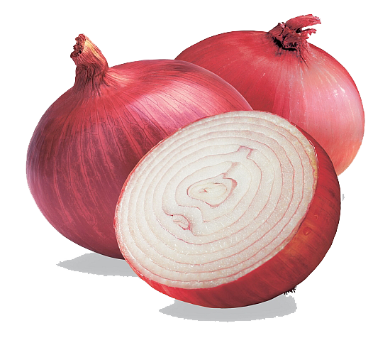 Picture Download Onion PNG Transparent Background, Free Download #38732 ...