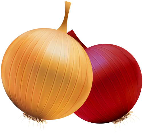 Free Download Of Onion Icon Clipart PNG Transparent Background, Free ...