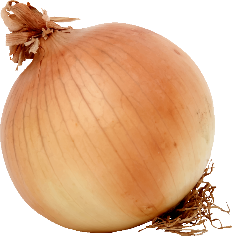 Download Free Onion Images PNG Transparent Background, Free Download ...