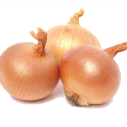 Onion Download Icon PNG Transparent Background, Free Download #38741 ...