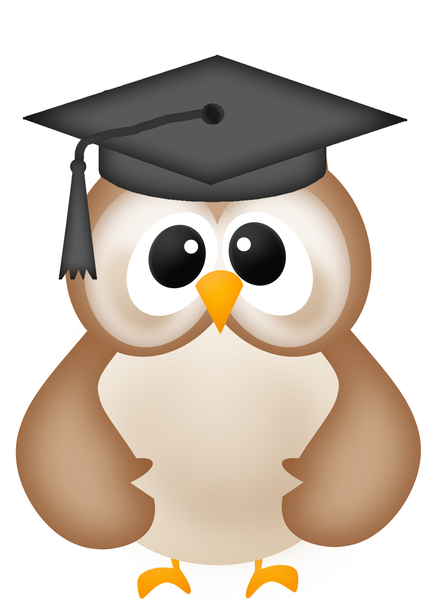 Owl Graduation PNG Transparent Background, Free Download #34885 ...