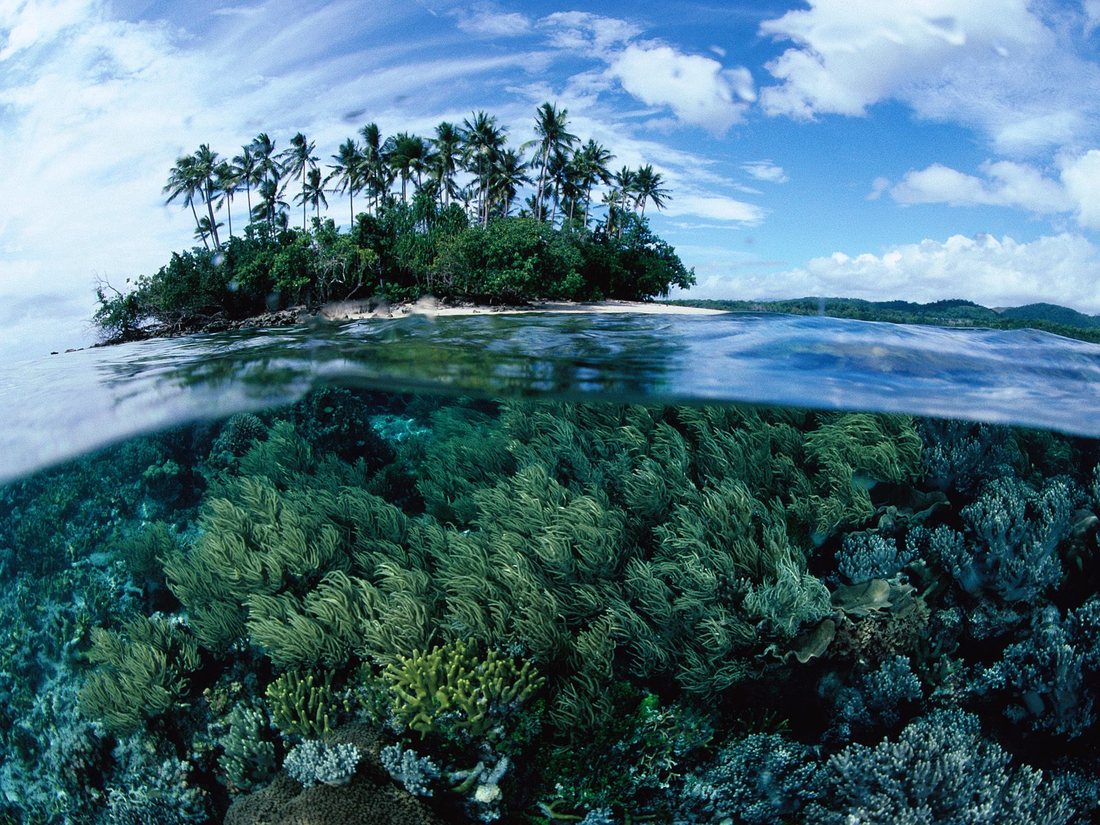 Papua New Guinea Photo PNG Transparent Background, Free Download #44724 ...