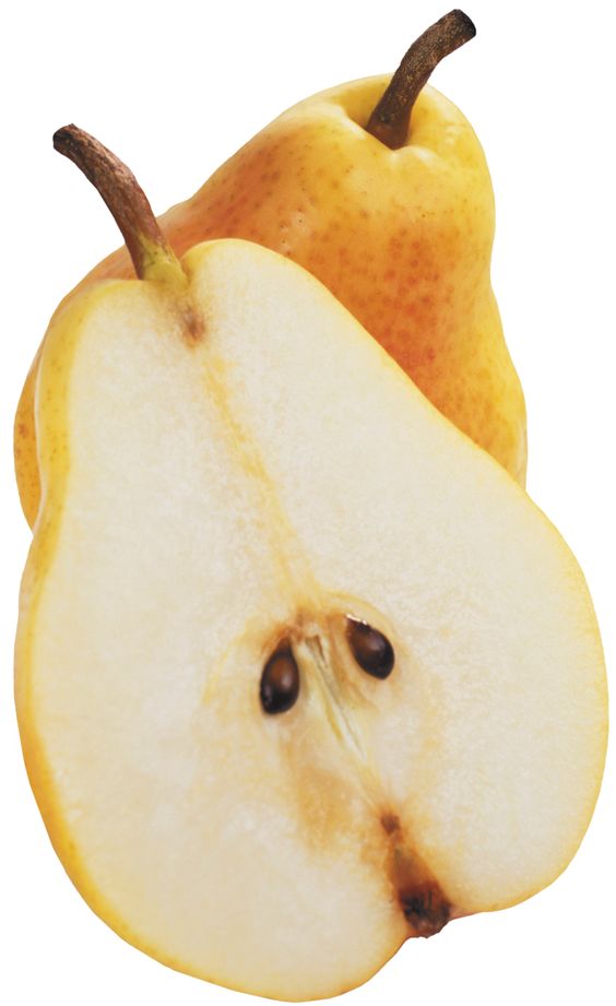 Download Free High Quality Pear Images PNG Transparent Background, Free ...