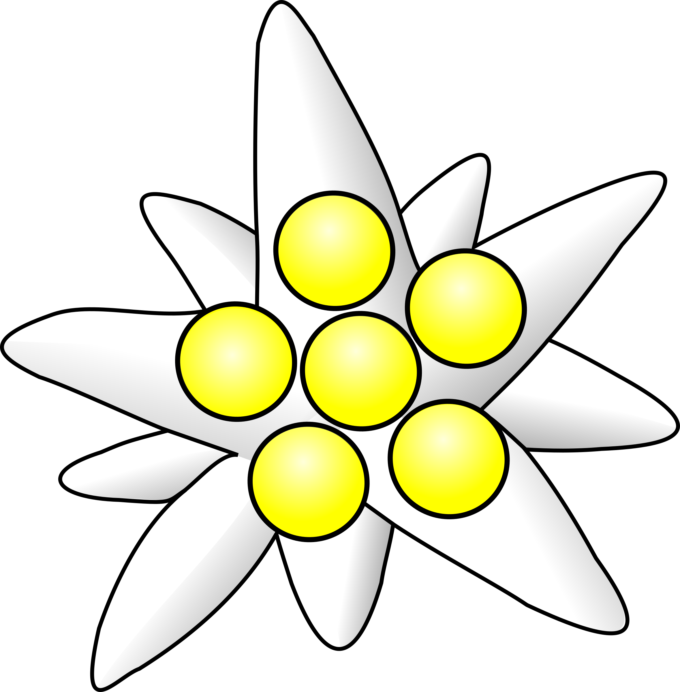 Edelweiss Transparent PNG Pictures - Free Icons and PNG Backgrounds