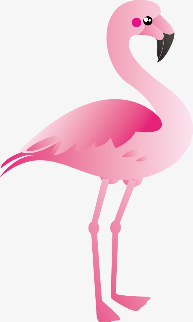Pink Flamingo Designs Pictures PNG Transparent Background, Free ...