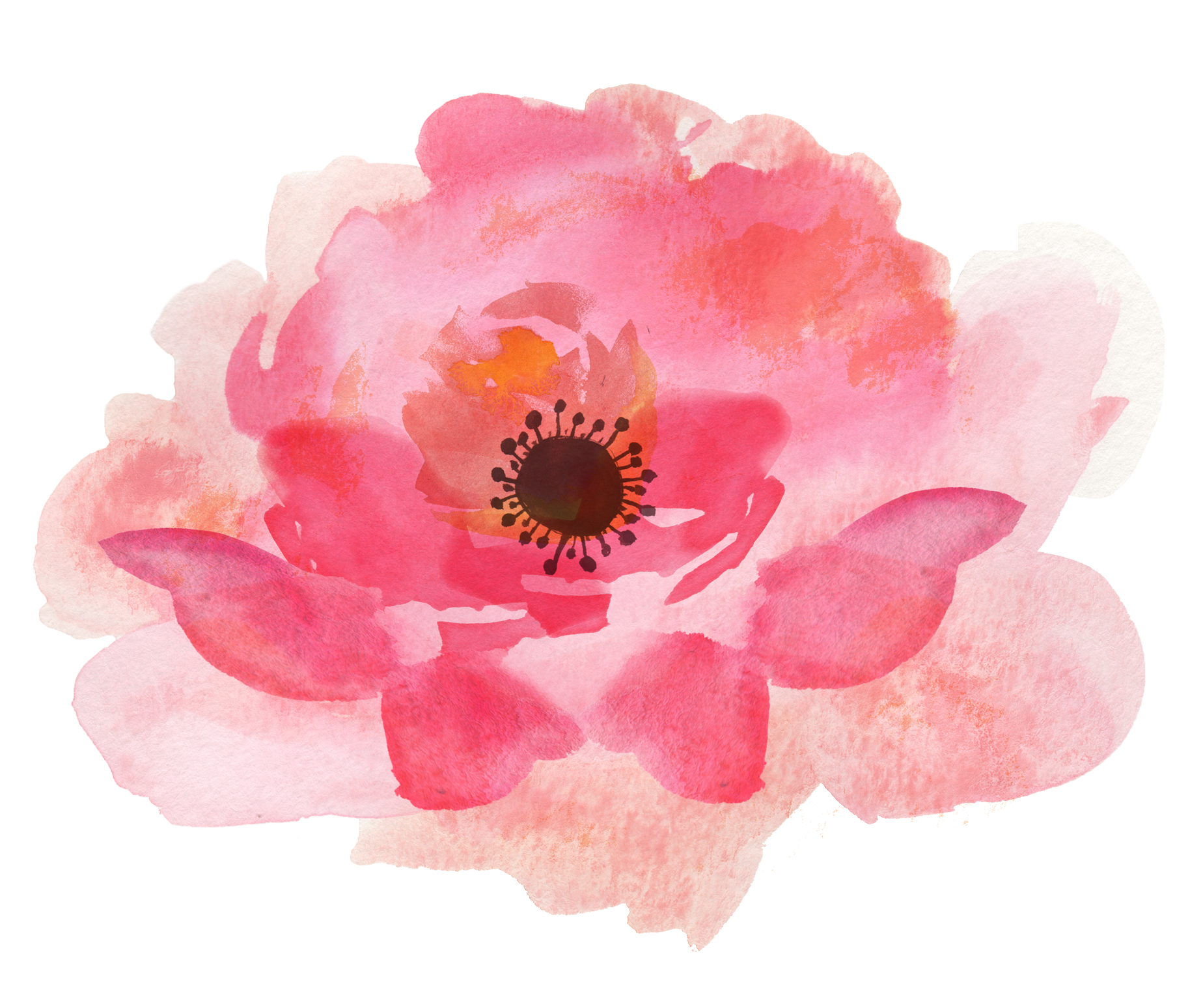 Watercolor Flowers PNG, Watercolor Flowers Transparent Background ... Watercolor Flowers PNG, Watercolor Flowers Transparent Background ...