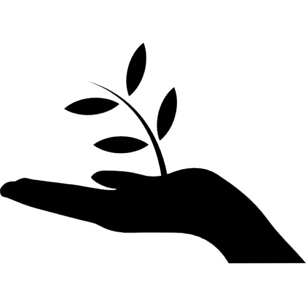 Icons Windows For Plant PNG Transparent Background, Free Download ...