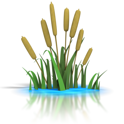 File Pond PNG Transparent Background, Free Download #10919 - FreeIconsPNG