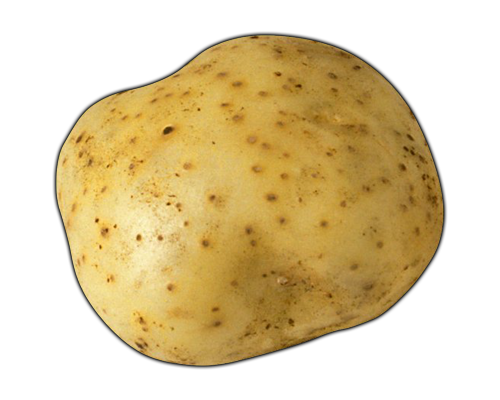 Potato PNG, Potato Transparent Background - FreeIconsPNG