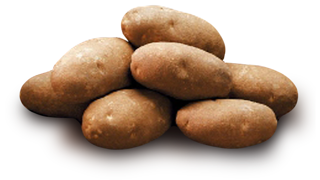Potato PNG, Potato Transparent Background - FreeIconsPNG