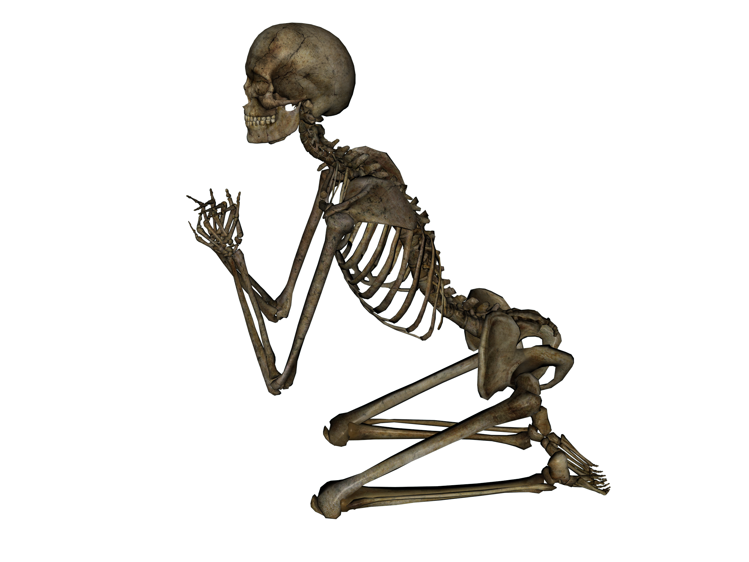 Praying Skeleton PNG Transparent Background, Free Download #43853 ...