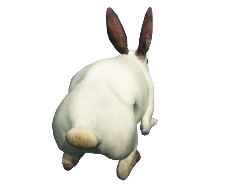 Free Download Of Rabbit Icon Clipart PNG Transparent Background, Free ...