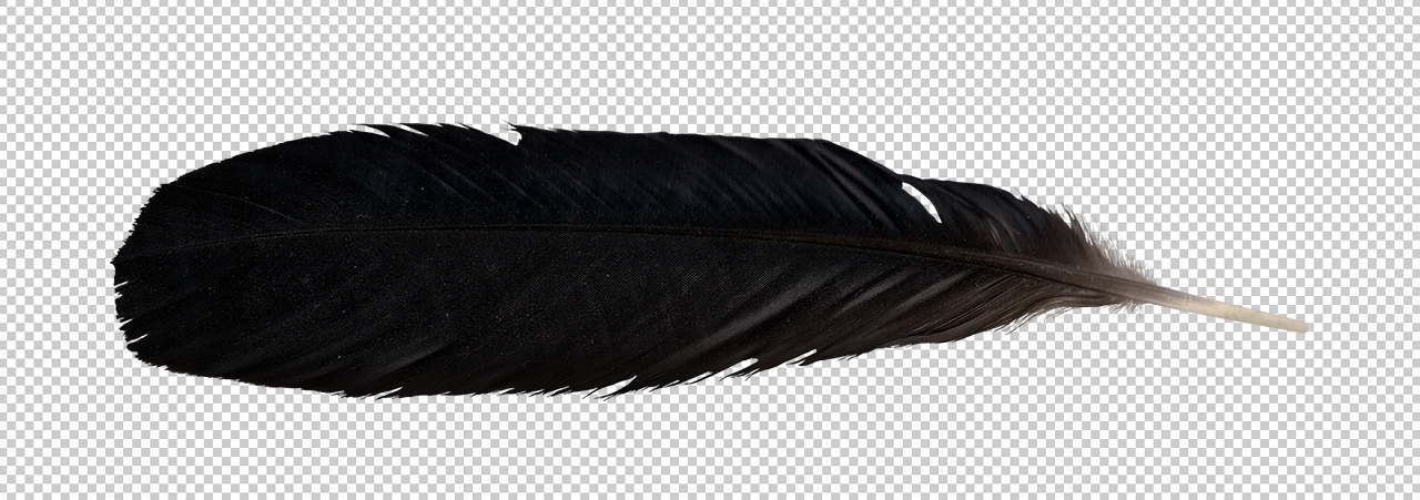 Raven Feather PNG Transparent Background, Free Download #32831 ...