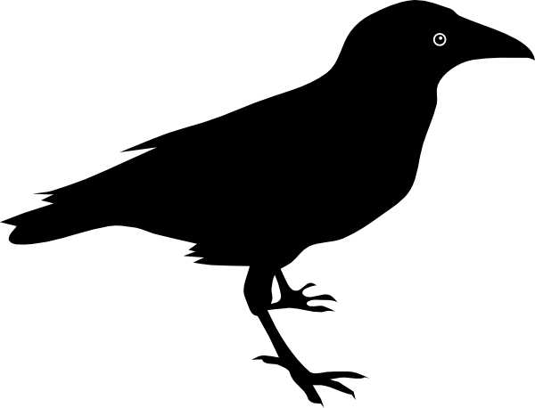 Raven PNG, Raven Transparent Background - FreeIconsPNG