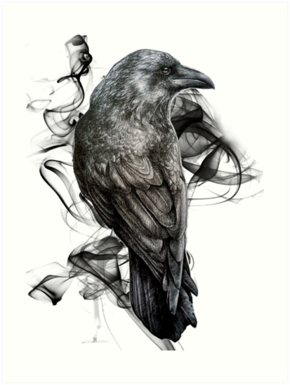 Vector Raven PNG Transparent Background, Free Download #32825 ...