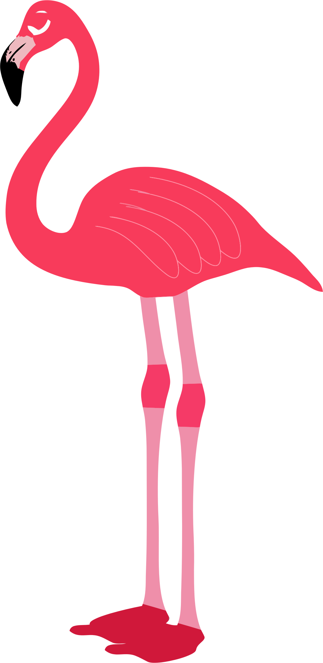 Red And Smart Flamingo Pictures PNG Transparent Background, Free ...