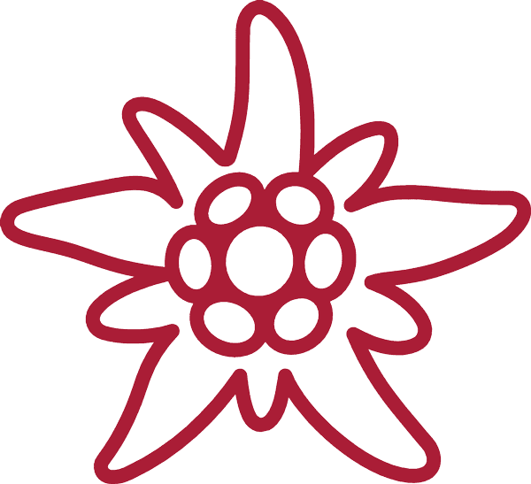Edelweiss Transparent PNG Pictures - Free Icons and PNG Backgrounds