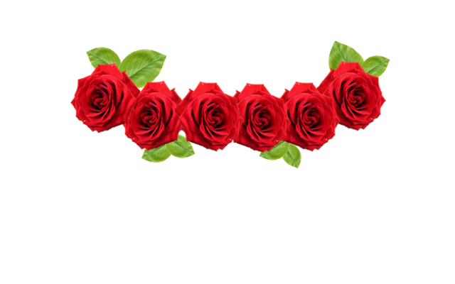 Red Rose Flower Crown PNG Transparent Background, Free Download #42610 ...