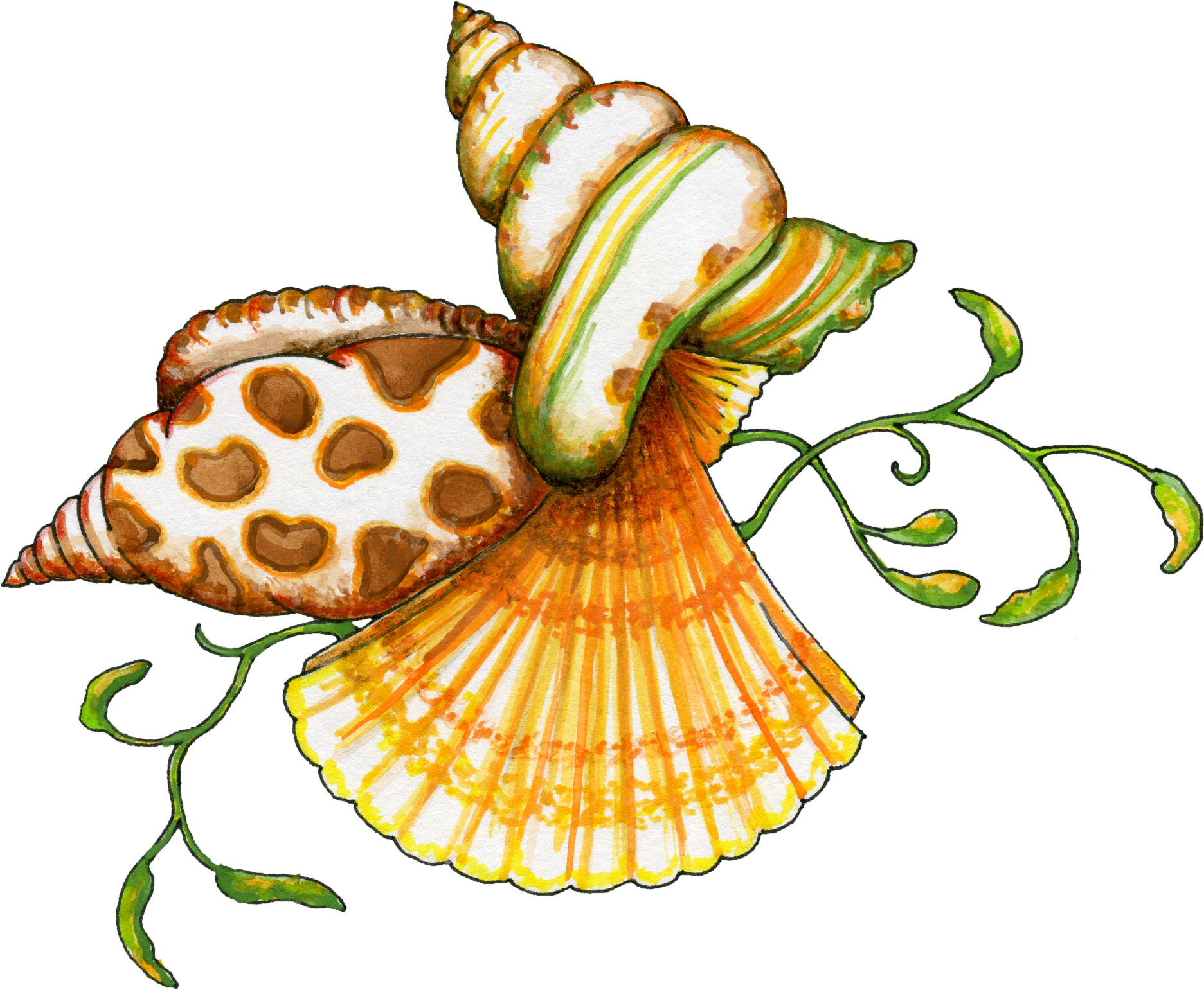 Free Download Seashell Images PNG Transparent Background, Free Download ...