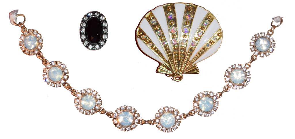 Seashell PNG, Seashell Transparent Background - FreeIconsPNG