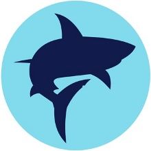 Vector Icon Shark PNG Transparent Background, Free Download #24347 ...