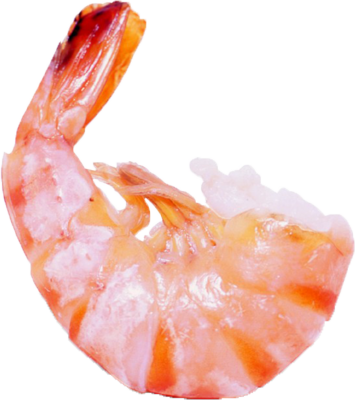 Shrimps PNG, Shrimps Transparent Background - FreeIconsPNG