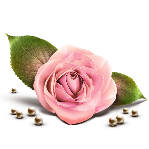Single Rose Icon PNG Transparent Background, Free Download #13899 ...