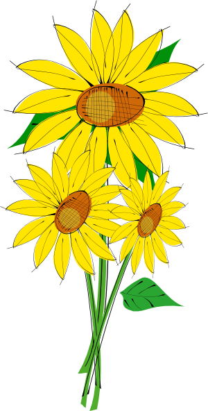 Single Sunflower PNG Transparent Background, Free Download #41043 ...
