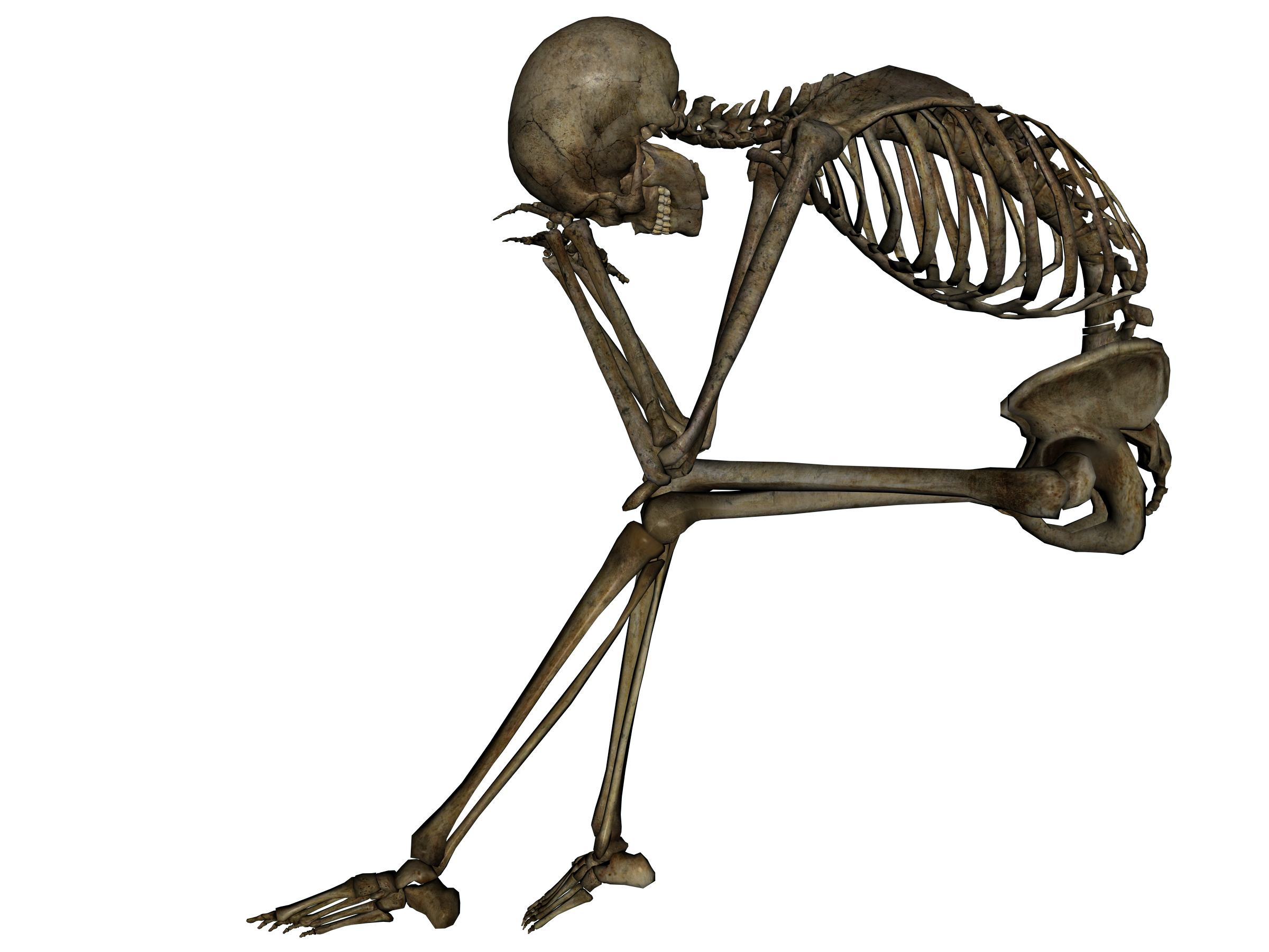 Icons Windows For Skeleton PNG Transparent Background, Free Download ...