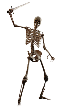 Skeleton Warrior PNG Transparent Background, Free Download #5329 ...