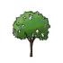 Icon Small Tree PNG Transparent Background, Free Download #7693 ...