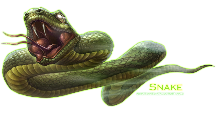 Snake PNG, Snake Transparent Background - FreeIconsPNG