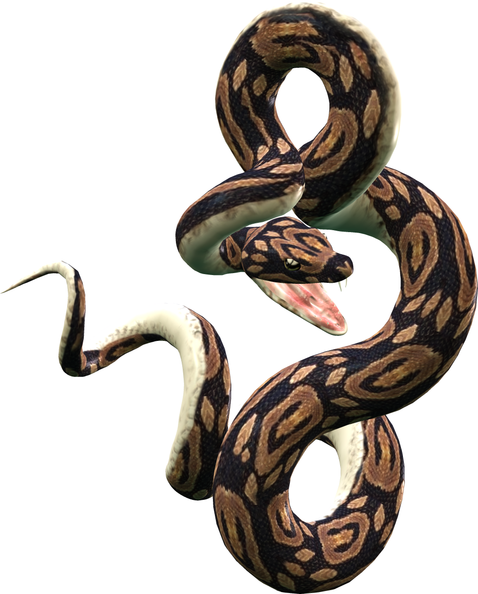 Snake PNG, Snake Transparent Background - FreeIconsPNG