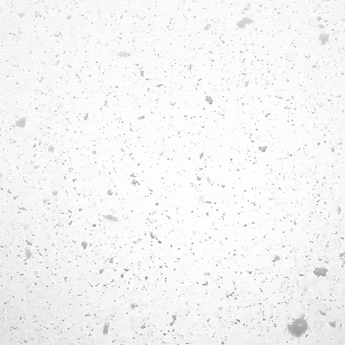 Animated Gif Snow Transparent