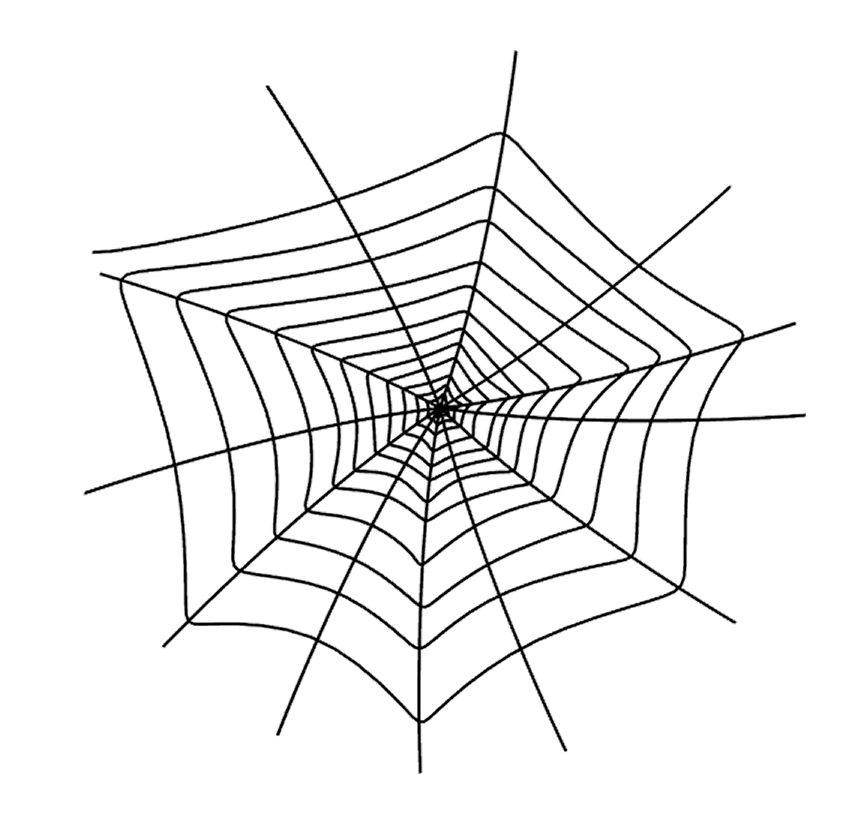 Spider PNG Spider Transparent Background FreeIconsPNG
