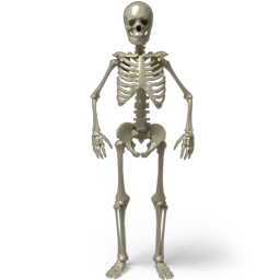 Standing Skeleton Icon PNG Transparent Background, Free Download #5304 ...